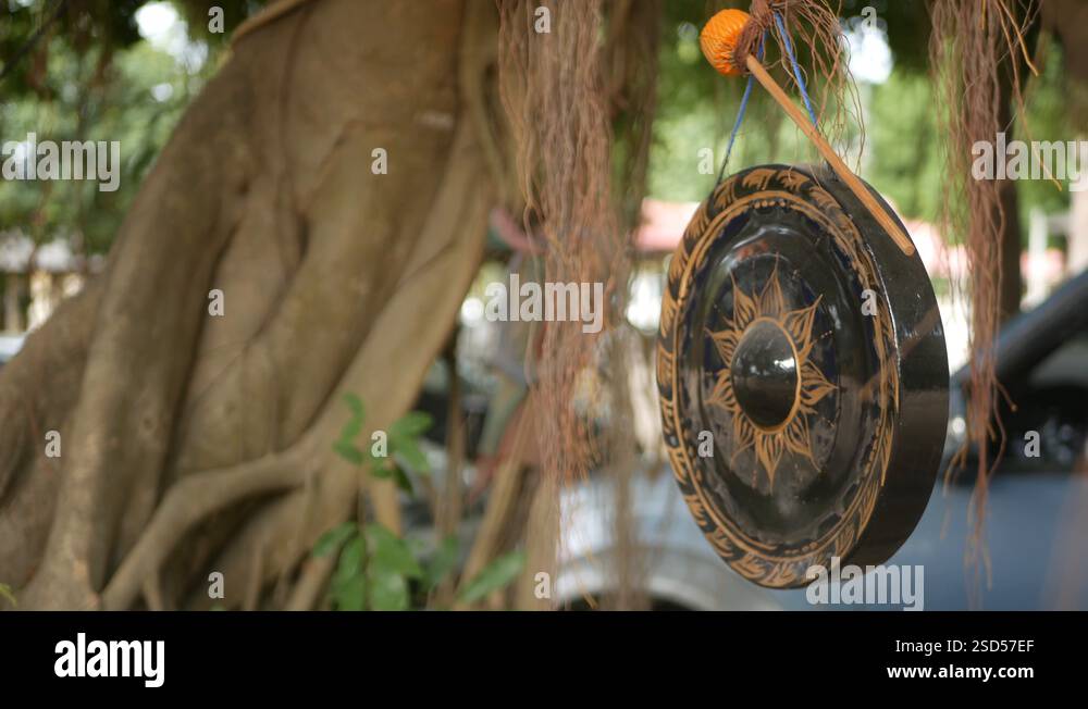 Small traditional gong hanging on background of old banyan tree in ...