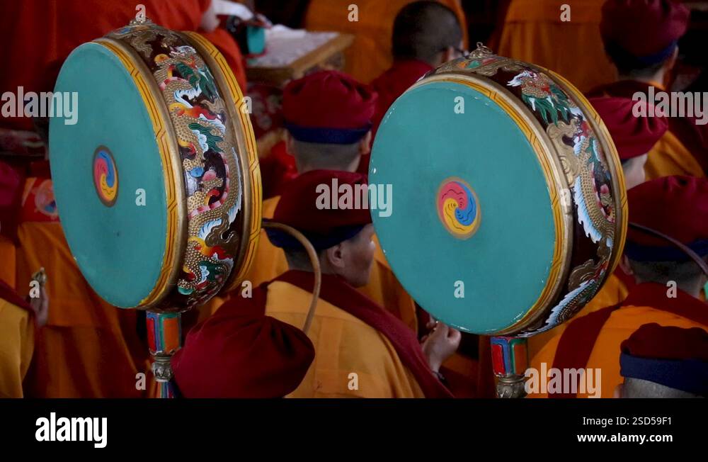 reciting text in the prayer hall, kungfu nuns of ladakh Stock Video ...