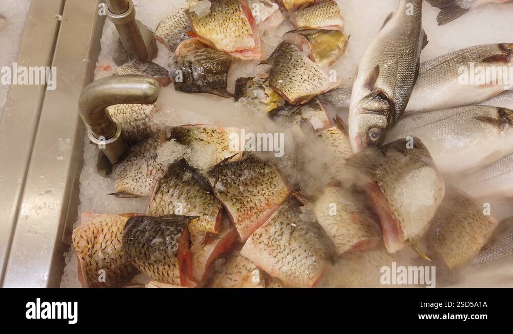 Fresh fish is cooled on the supermarket counter. Fresh raw fish on ...