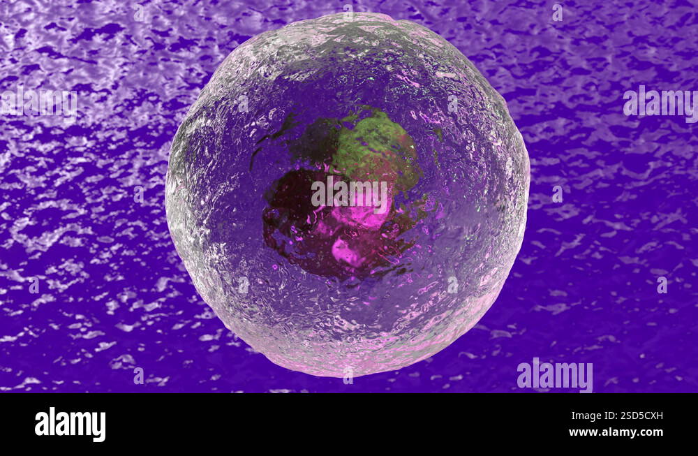 3D Looped animation of eukaryotic cell movement on a purple background ...