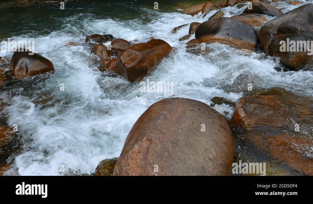 Static footage of crystal clear tropical stream in a forest Stock Video ...