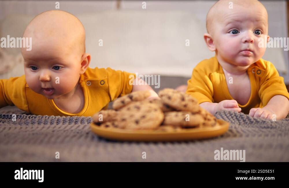 Two Funny Twin Babies Crawling To Chocolate Chip Cookies Stock Video ...