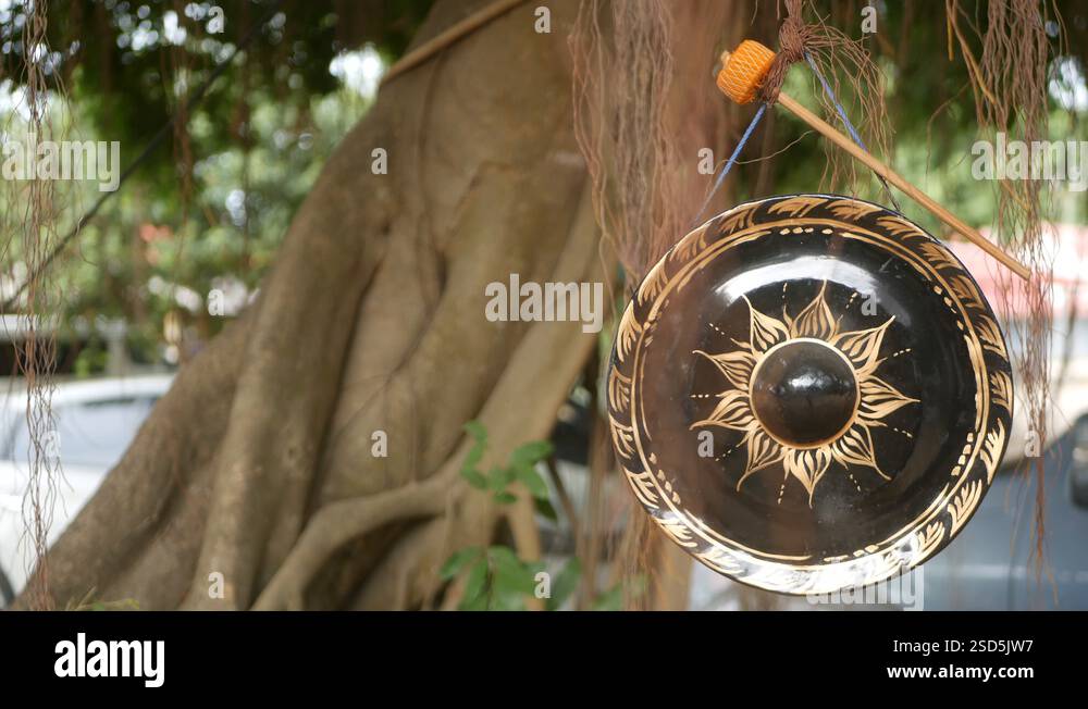 Small traditional gong hanging on background of old banyan tree in ...