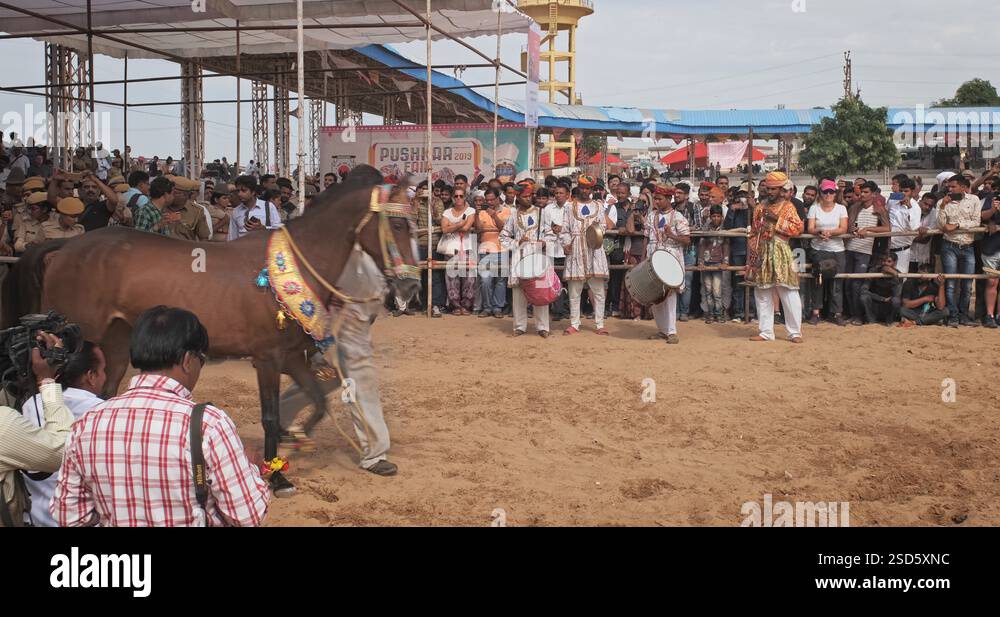 Traditional festival horse dance competition at open ground at Pushkar ...