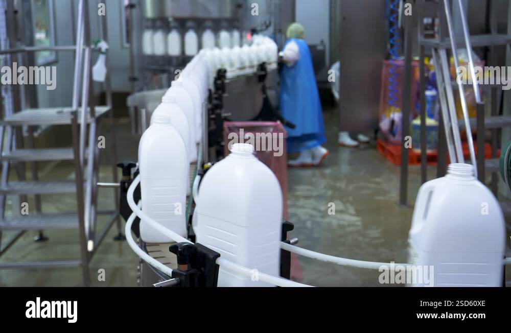 Plastic milk bottles being filled with milk on a production line at a ...