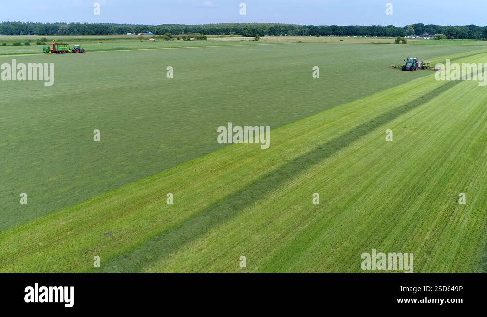 Aerial view footage of tractor creating windrows of grass for silage 4k ...