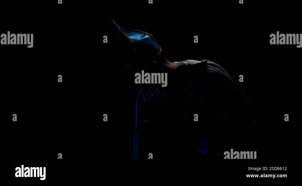 Silhouette of an ancient egyptian ruler wearing traditional ancient ...