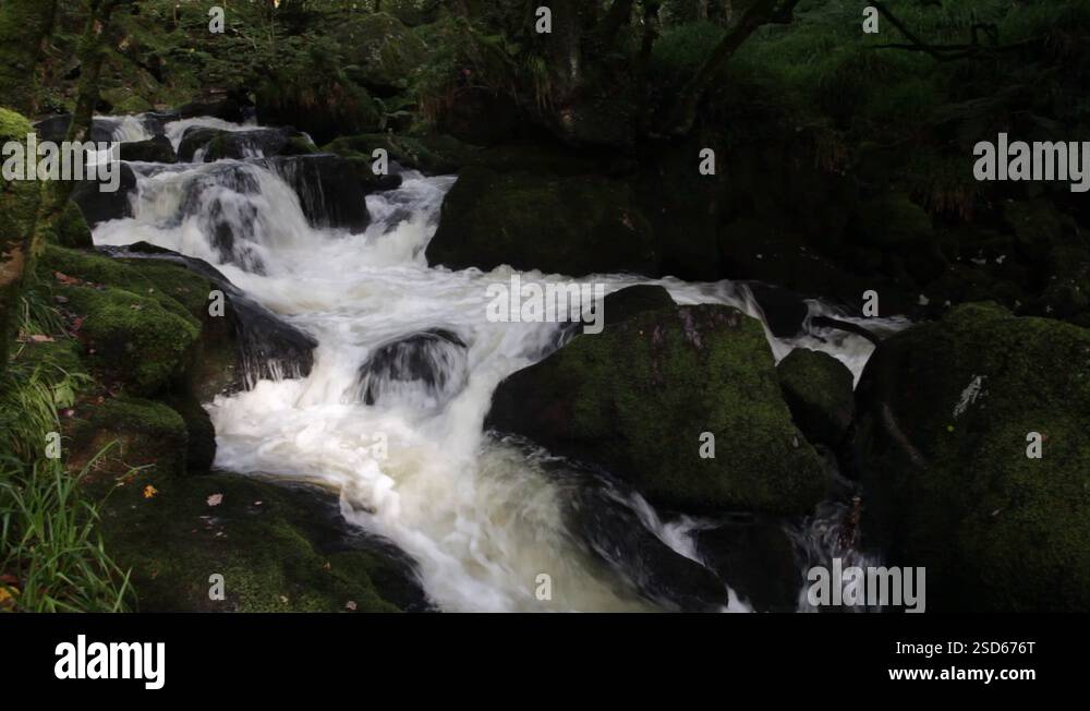 A beautiful river tumbling downhill through ancient woodland Stock ...