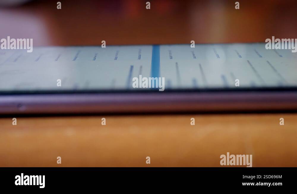 cats paw touches the touch screen of a smartphone Stock Video Footage ...