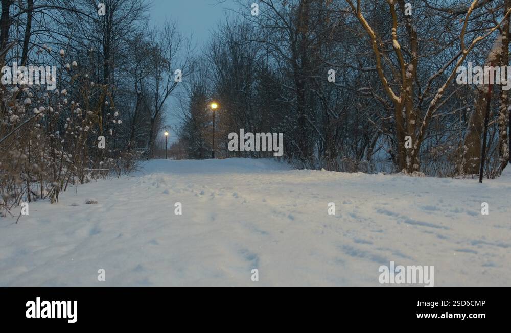 Pedestrian Path during Snow Storm. End of the Day with Street Lamp On ...