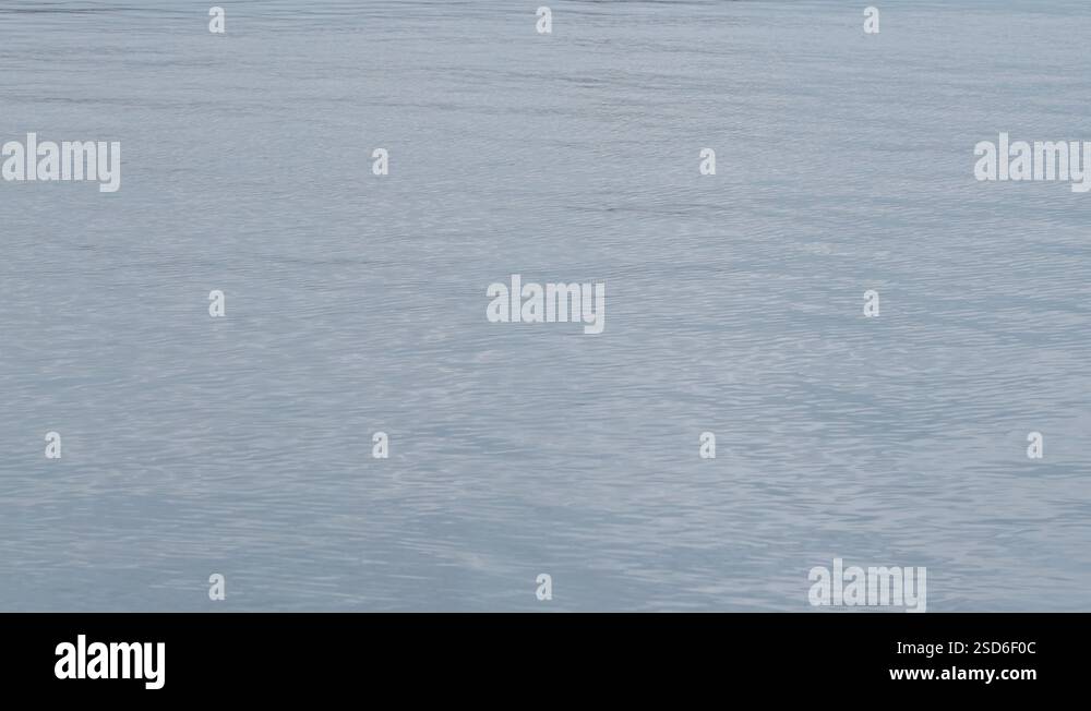 HMAS Melbourne (FFG 05) Adelaide-class guided-missile frigate Stock ...