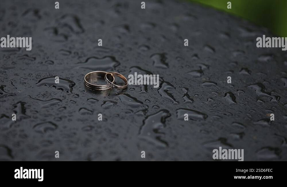 Beautiful golden wedding rings on wet surface with water drops Stock ...