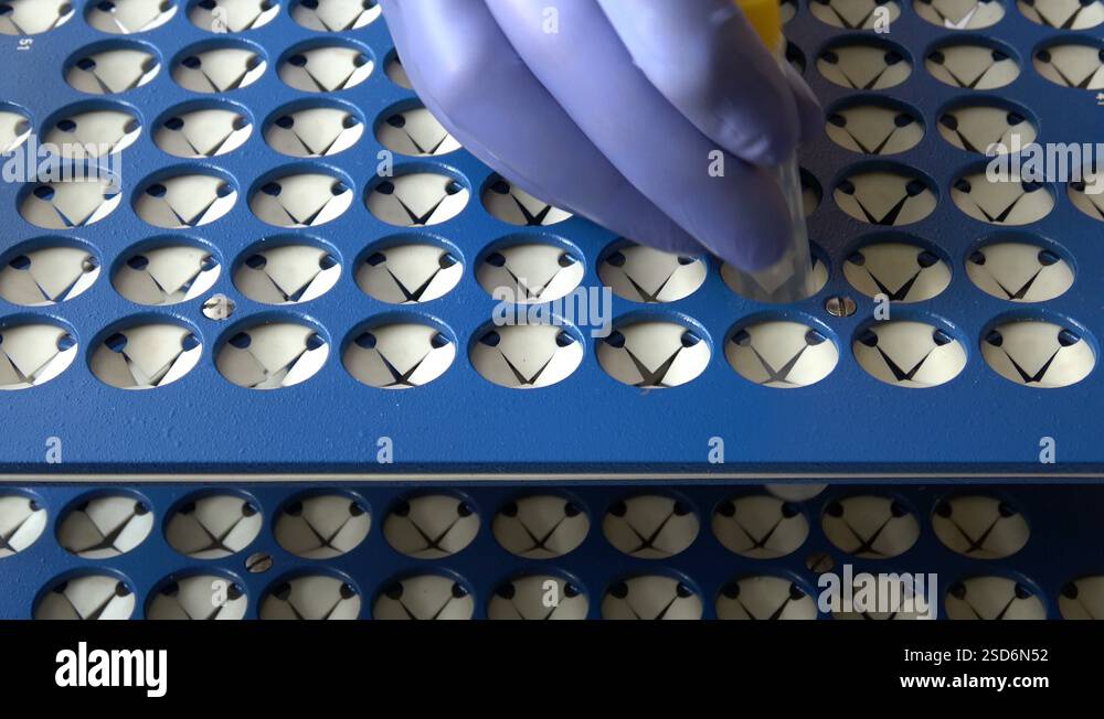 Placing test tubes in rack. Close up view of rack with test tubes Stock ...