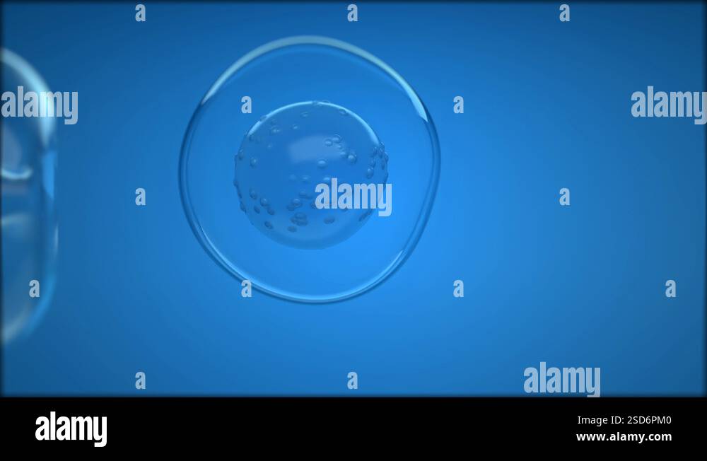 Medical macro animation of a stem cell injection. Needle inserting ...