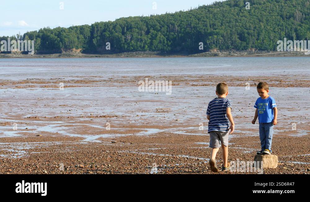Cute boys playing on ocean floor in bay of fundy at low tide in five ...