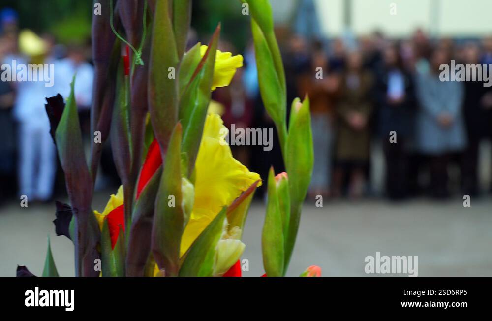 Primary and elementary school children and parents with bouquets of ...