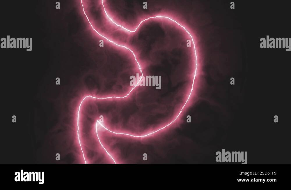 Stomach Pain - Gastric Acid - Reflux .Stomach with heartburn and pain ...