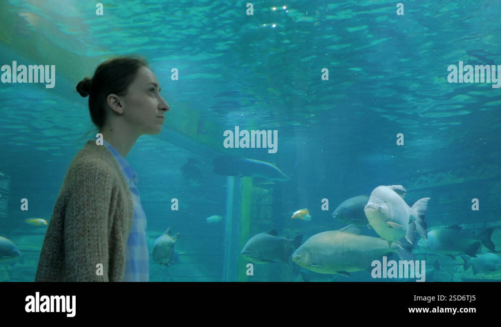 Woman looking at fish vortex in large public aquarium tank at ...