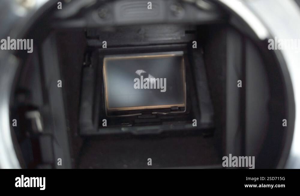 Slow-motion shutter of the mirror camera, serial shooting of the camera Stock Video Footage - Alamy