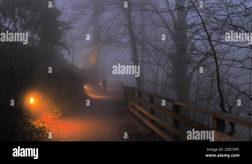 Three spectral ghosts walk inside a terrifying night forest in the fog ...