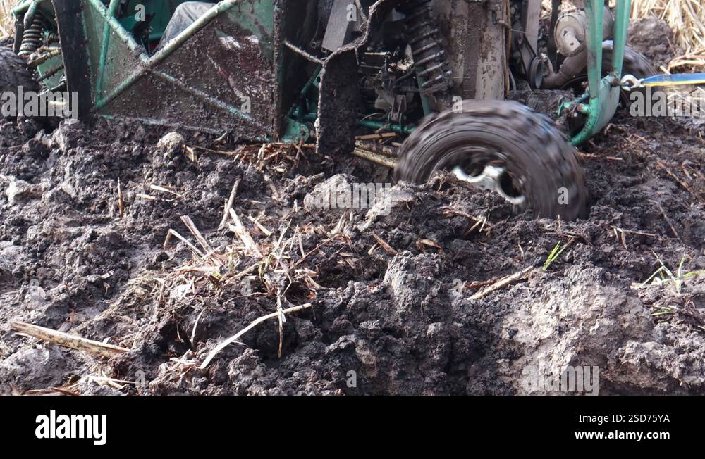 Homemade buggy machine stuck in the swamp. Offroad trip to the ...