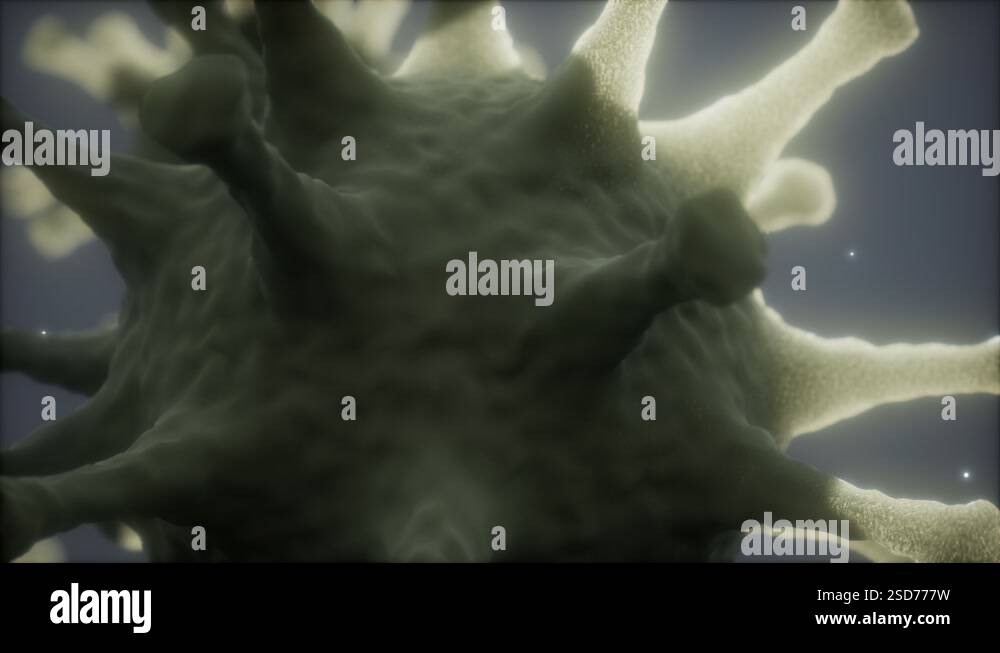 Bacteria virus or germs microorganism cells under microscope with depth ...