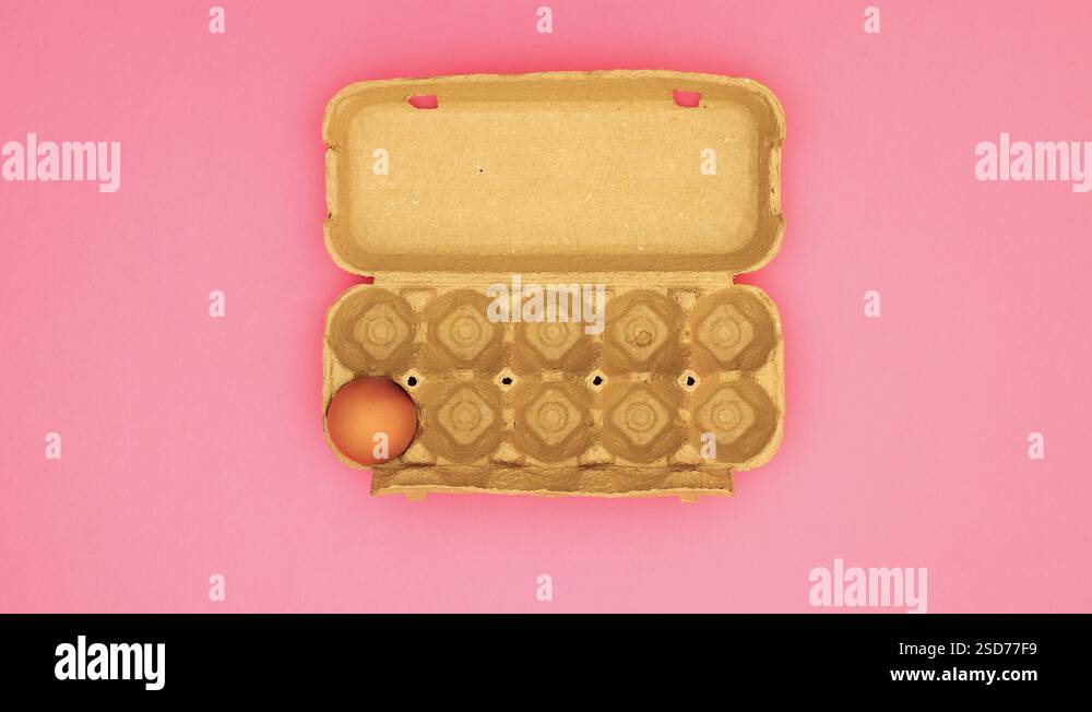 Cardboard box appear from the bottom and eggs appear- Stop motion Stock ...