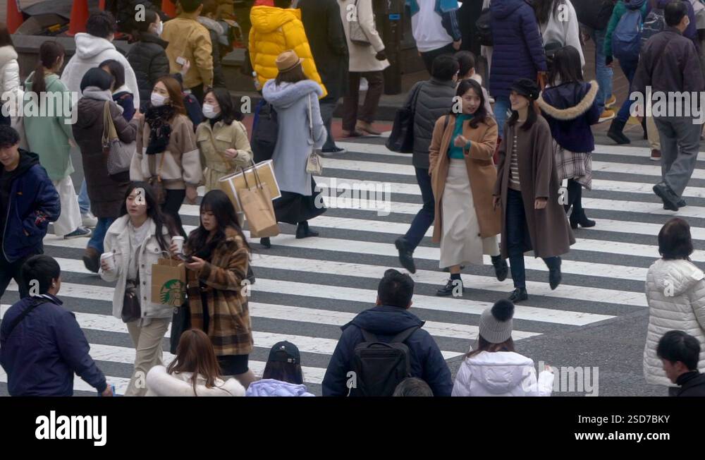 Slow motion of crowd pedestrian crossing Shibuya intersection. Aerial ...