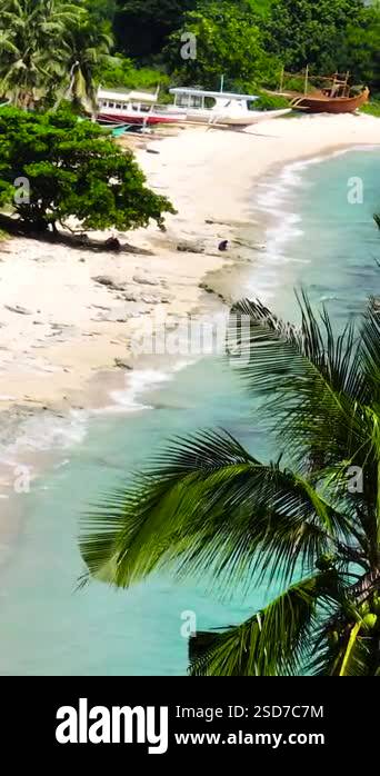 Beach with coconut trees and sea waves on white sands. Coron, Palawan ...