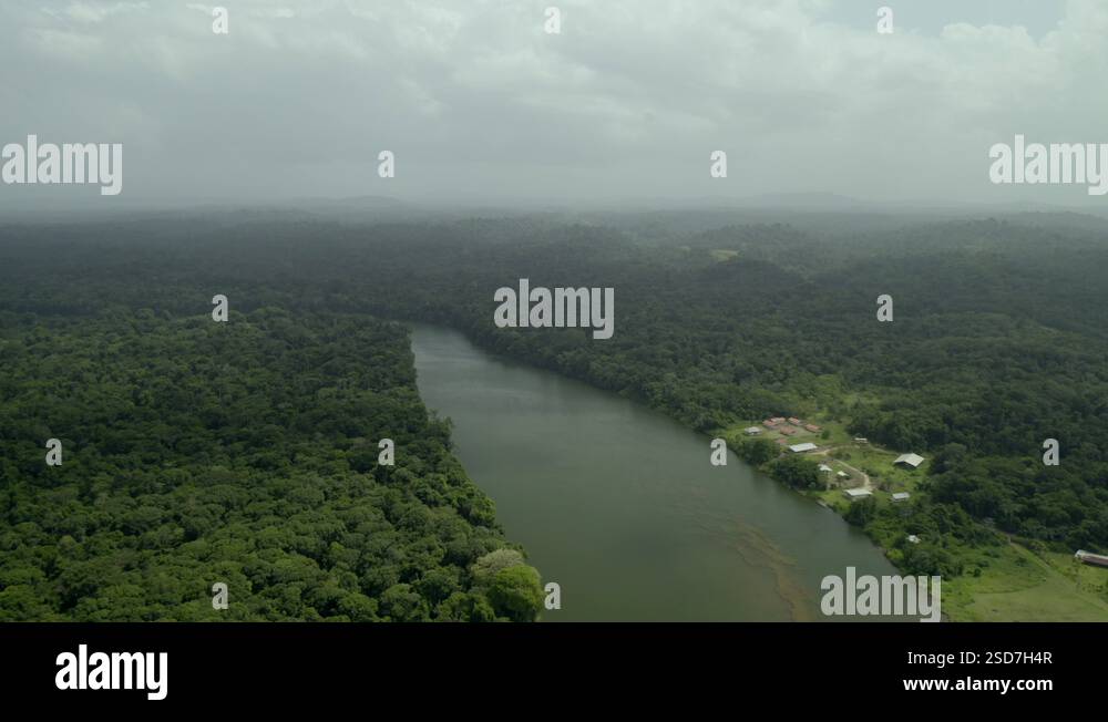 Small rainforest community on banks of Amazon river, aerial view Stock ...