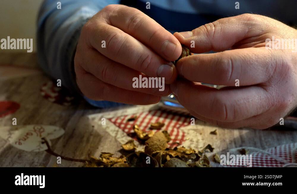Man peeling walnuts separating kernel from nutshell. Healthy dry fruits ...