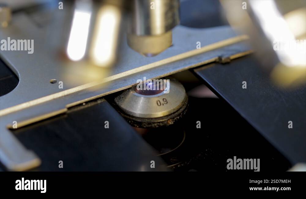 Microscope close up scientist using glass slide under compound ...