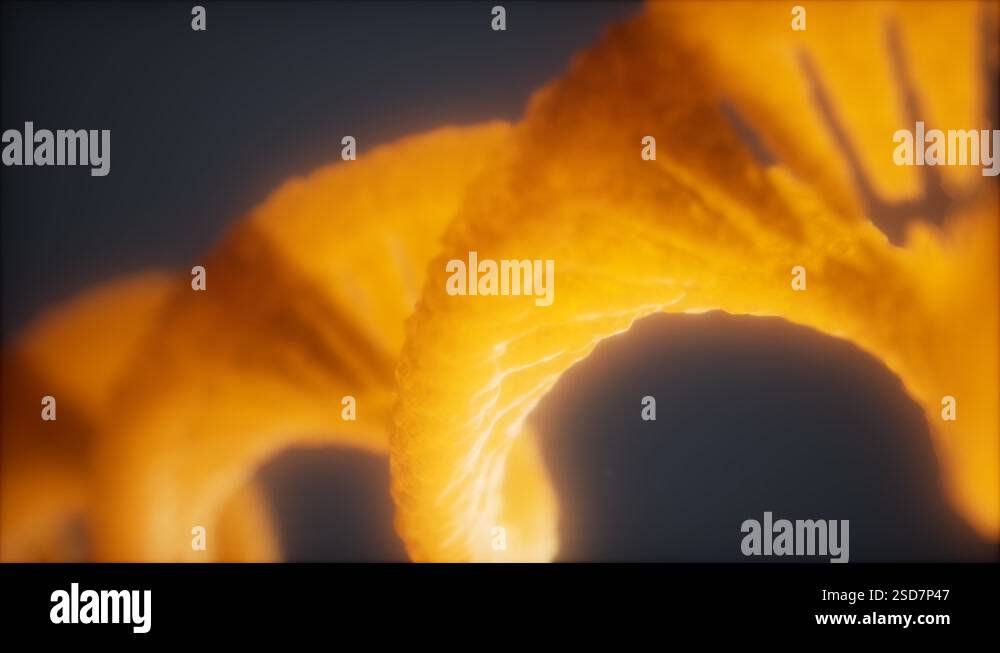 loop double helical structure of dna strand close-up animation Stock ...