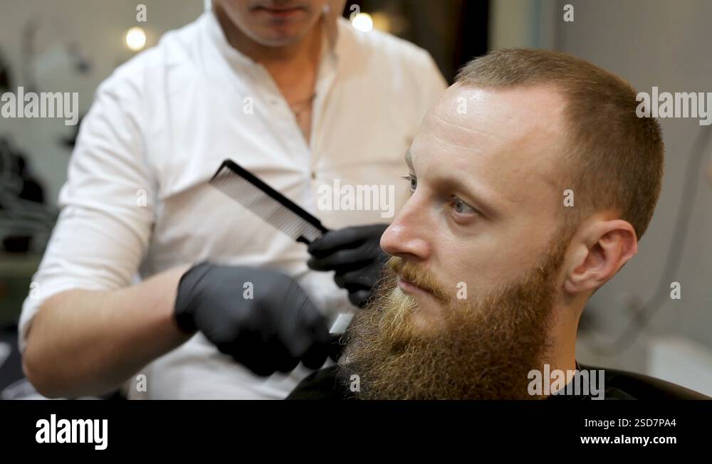 Barber girl makes a haircut beard client with trimmer hair clipper in ...