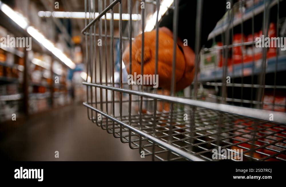 Shopping in the mall - adding pumpkin and other items in the trolley ...