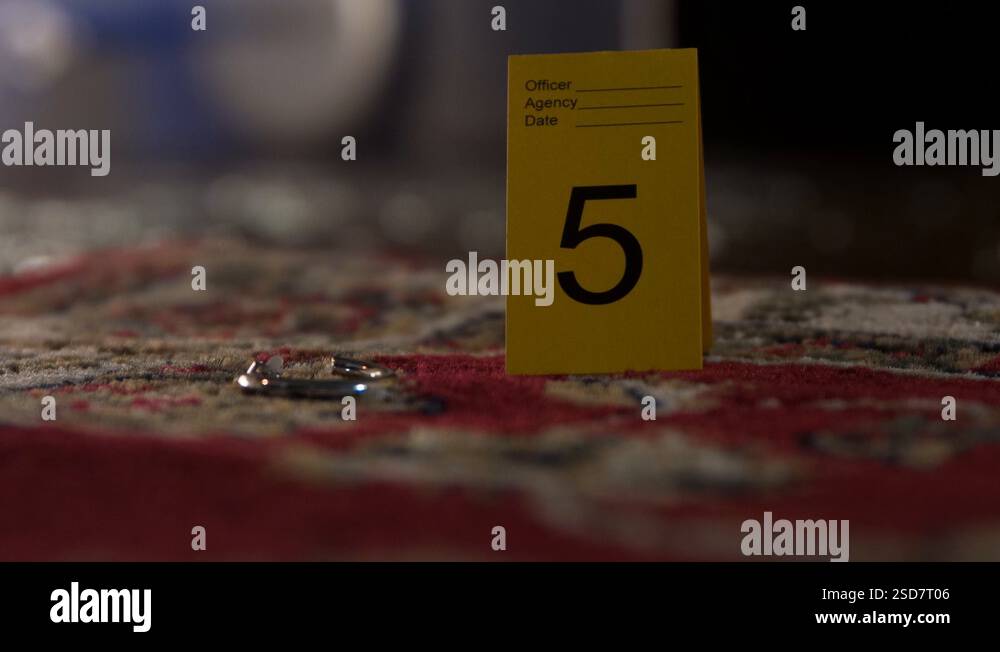 CSI Crime Scene Series - Burglary, Homicide, Murder - Forensics and ...