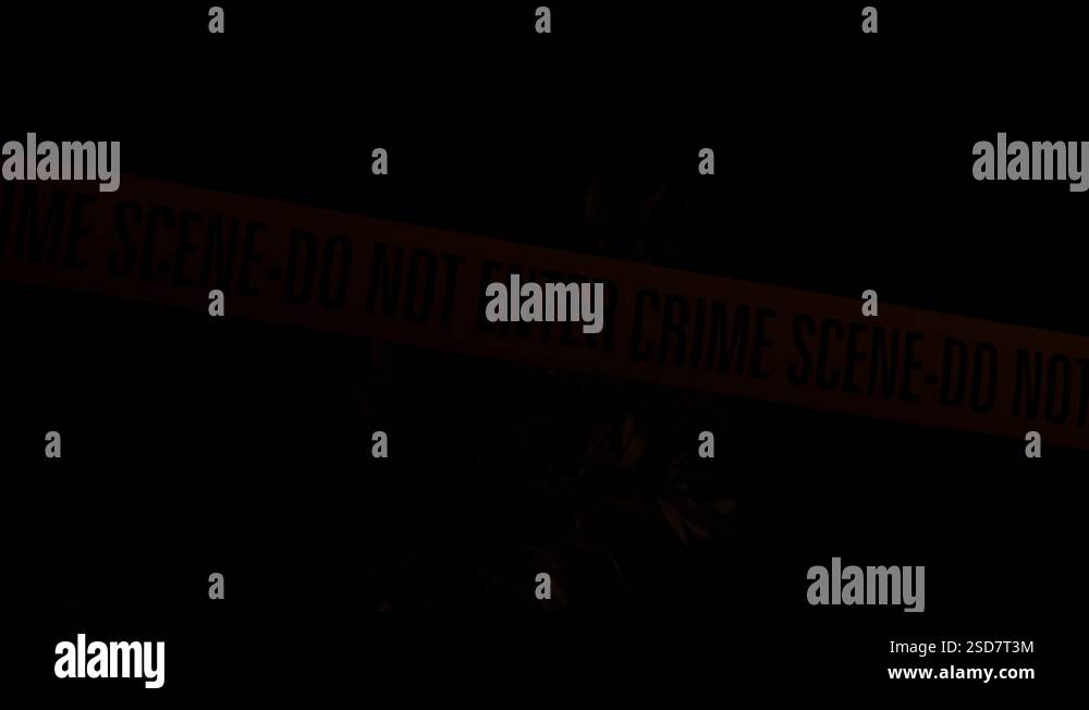 CSI Crime Scene Series - Burglary, Homicide, Murder - Forensics and ...