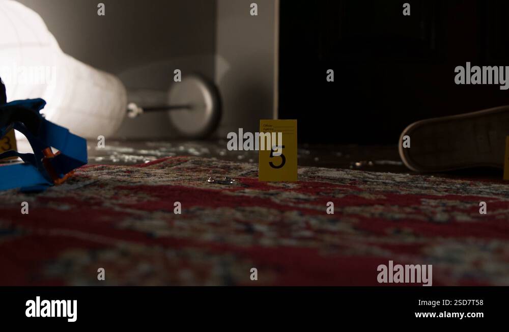CSI Crime Scene Series - Burglary, Homicide, Murder - Forensics and ...