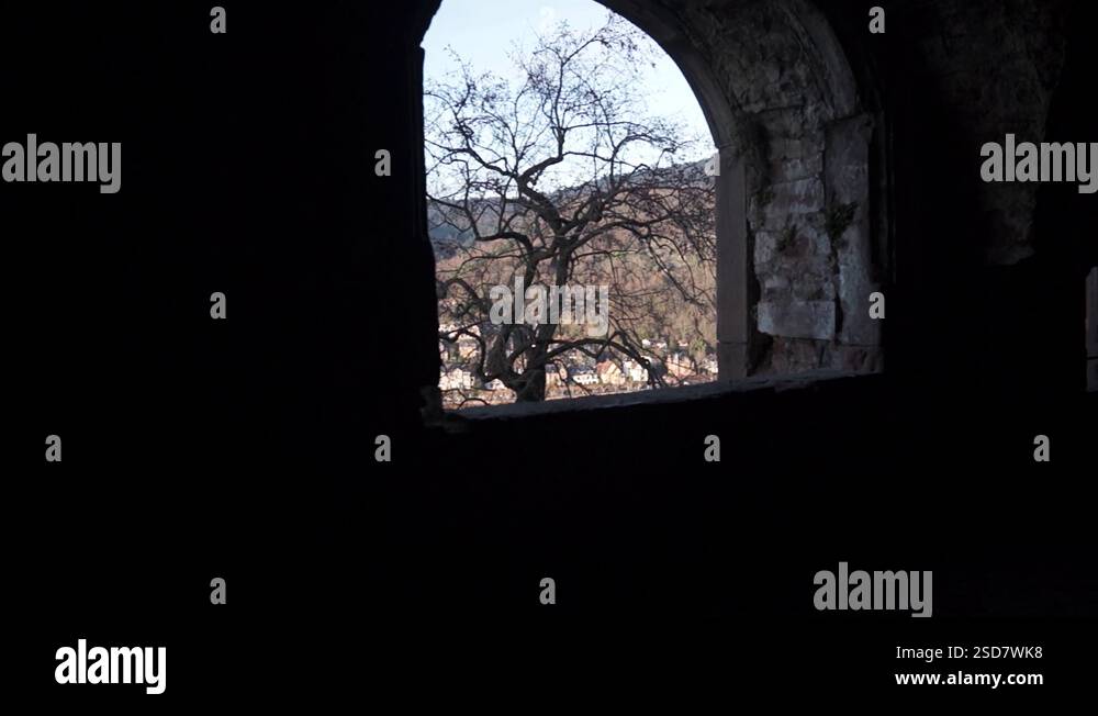 A city view and a dead tree through an old stone castle window in ...