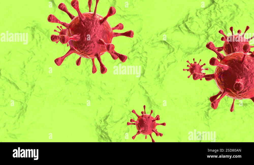 3d animation of absorption process of viruses by immune cell in the ...
