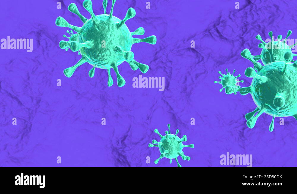 3d animation of absorption process of viruses by immune cell in the ...
