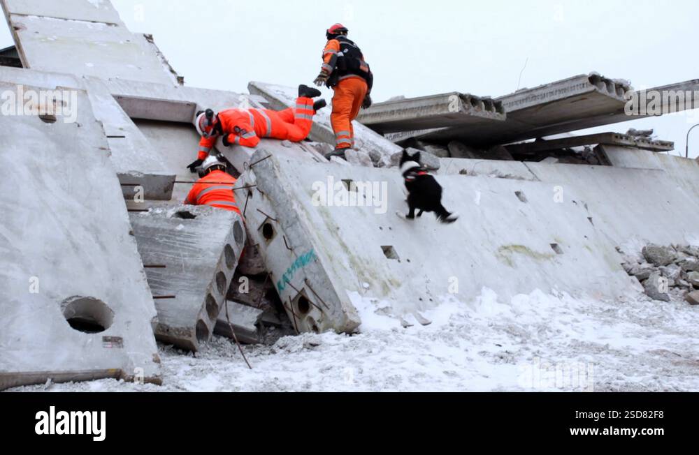 Usar team Stock Videos & Footage - HD and 4K Video Clips - Alamy