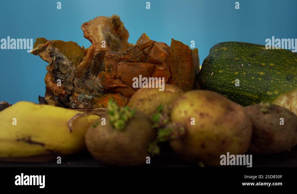 Blue gourd Stock Videos & Footage - HD and 4K Video Clips - Alamy