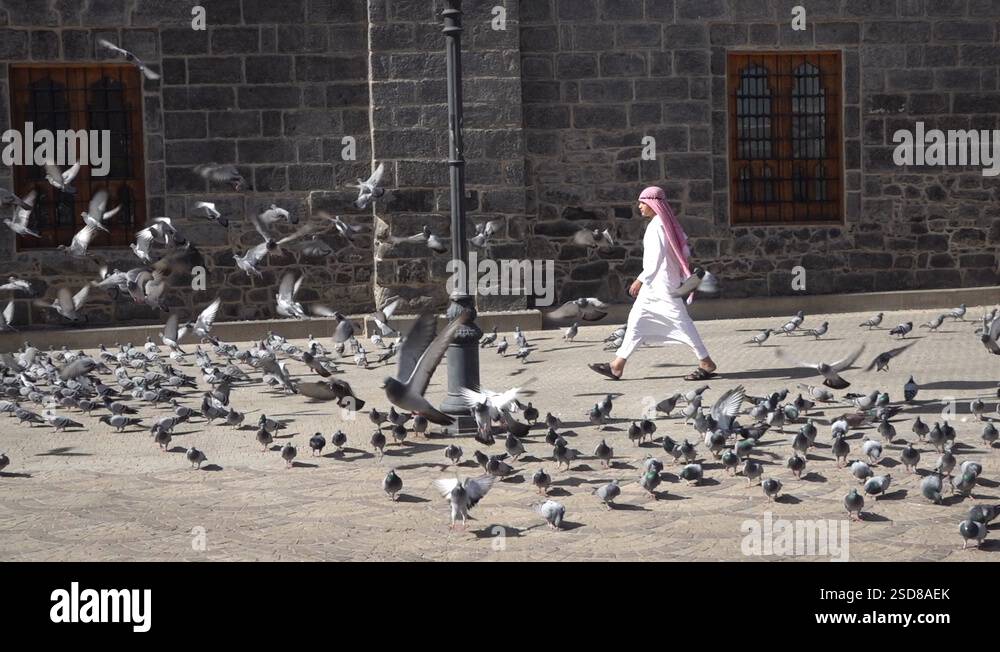 Boy in traditional Saudi dress, flock of pigeons in Medina Stock Video ...