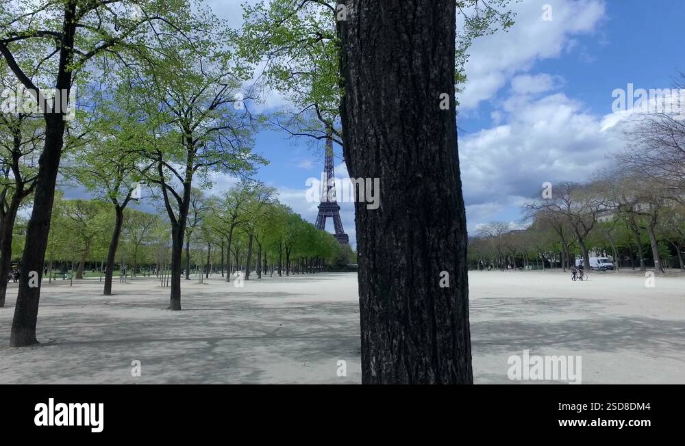 4K: The Eiffel Tower in Paris in the distance with Trees in front ...