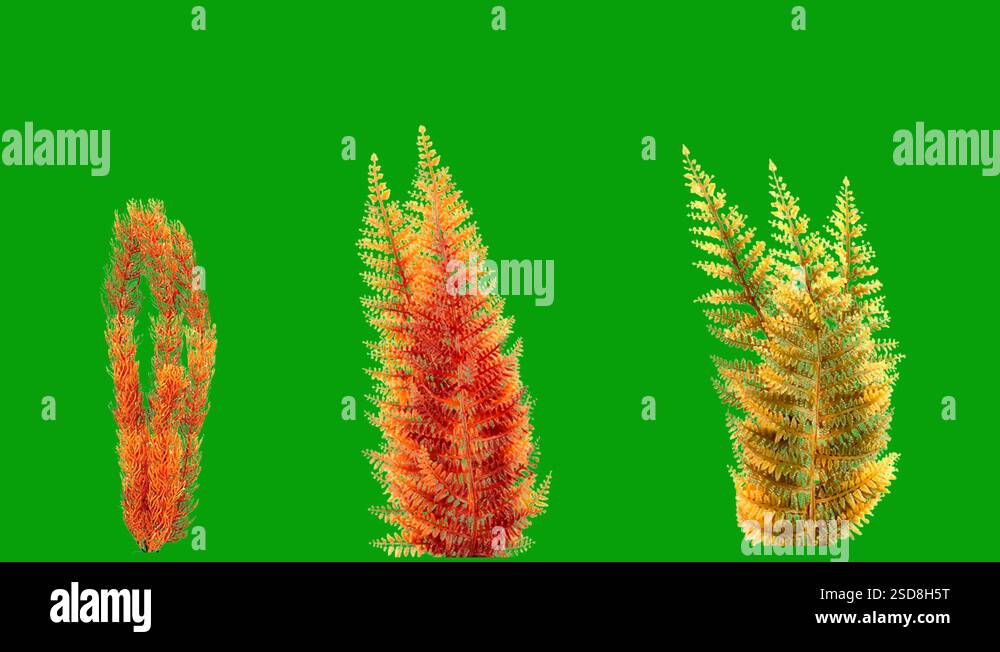 Underwater plants motion graphics with green screen background 2 Stock ...
