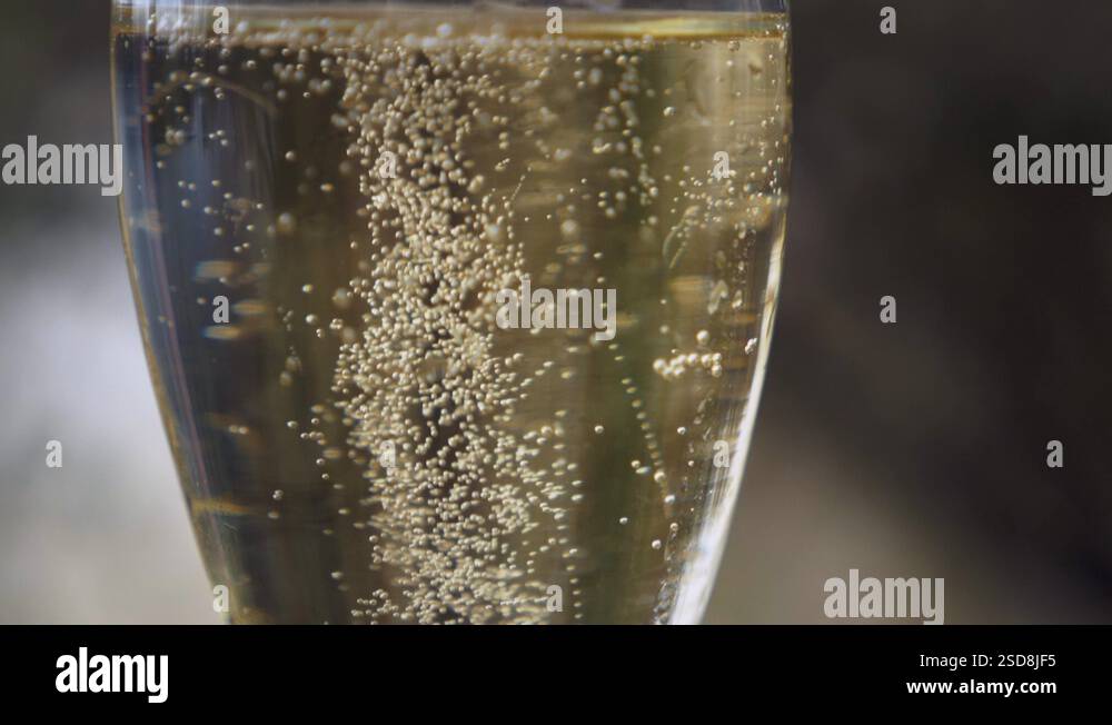 Lady picking up bubbling champagne and taking it out of shot. (Slow ...