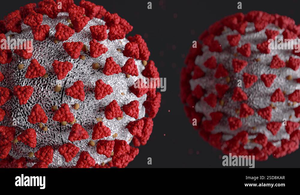 COVID-19 (SARS-COV-2 ) coronavirus Stock Video Footage - Alamy
