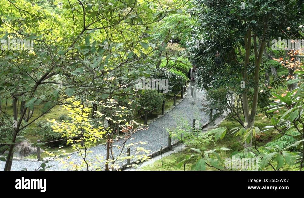 Tourists walk through a beautiful Japanese garden in Kyoto Stock Video ...