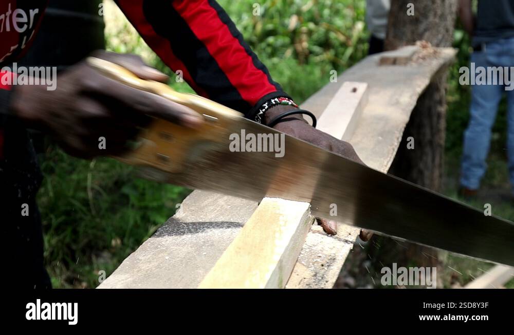 Kenyan carpenter working with hand saw to cut handmade board to length ...
